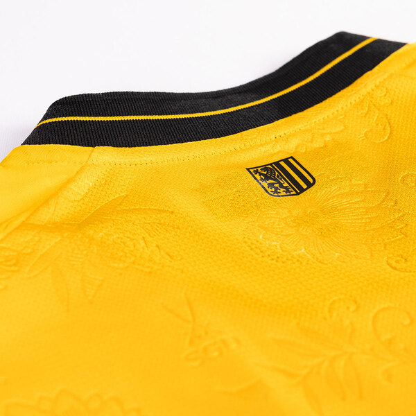Dynamo Dresden Trikot Home | jako.com